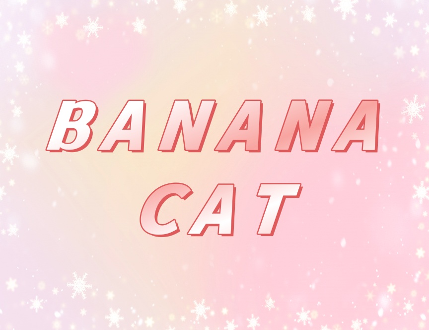 (BC-AA-309)两位美女逛服装店被一箭双雕..换了裙子又被抄 - 抄底系列